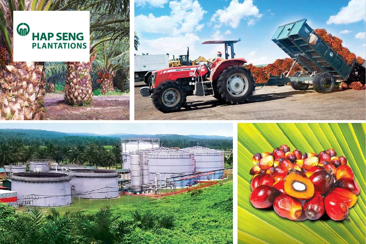 Untung bersih Hap Seng Plantations merosot 57% kepada RM91.37 juta pada ...