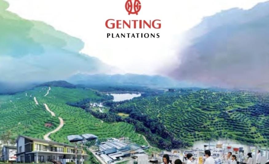 Nilai tanah 16,908 hektar Genting Plantation di bawah harga pasaran ...